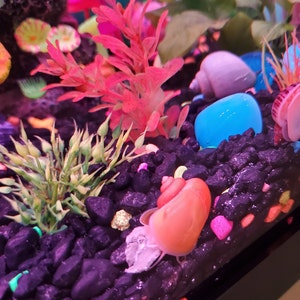 Rare Giant Indian Corn Seeds X50 Easy to Grow Colorful - Etsy