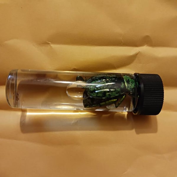 Wet Specimens REAL Mixed Lot of Assorted Specimens in Vials Collection ...
