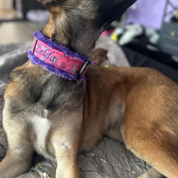 Custom Ribbon Display, Dog Award Ribbon Display Rack, Dog Rosette ...