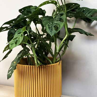 Modern Bubble Planter Pot With Drainage and Saucer Unique - Etsy