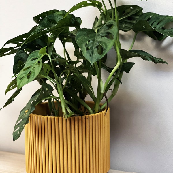 Lightweight 3D Printed Planter With Drainage and Saucer, Unique Pots ...