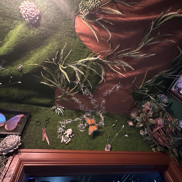 Real Taxidermy Snake Trimeresurus Albolabris One Coiled - Etsy