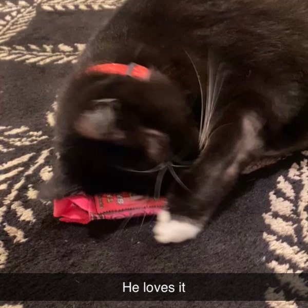 Chinese Takeout, Asian Hot Sauce Packet Catnip Cat Toy - Etsy