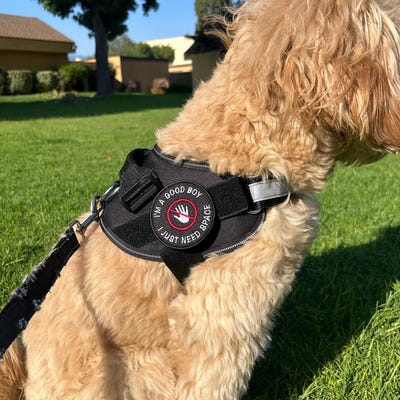 Socially Selective Embroidered Dog Patch 3-inch Round Patch Patch for ...