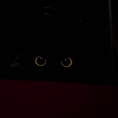 Bart Simpson Middle Finger Peeker Peeking Car Decals the Simpsons Pop ...