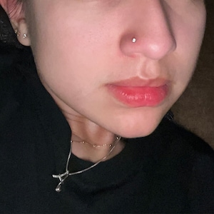 16G Titanium Internally Threaded Septum Ring Horseshoe | Etsy