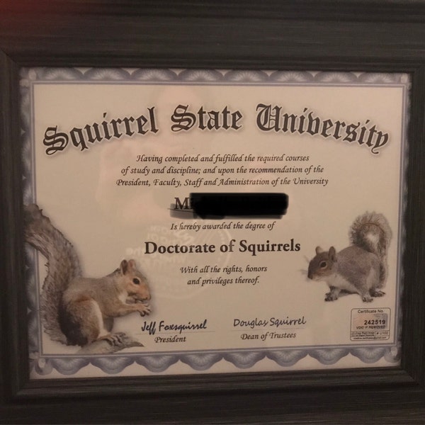 Personalized SQUIRREL University Certificate - Digital, Printed, or ...