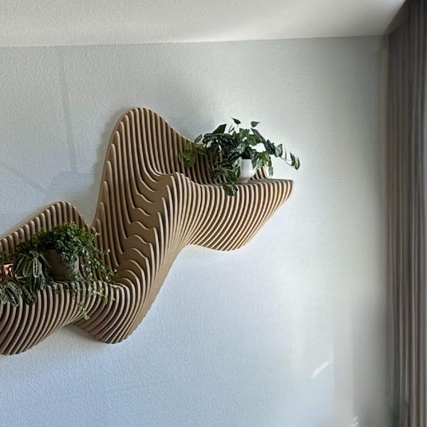 Parametric Shelf, New Design Large Wall Decor, Living Room Office ...