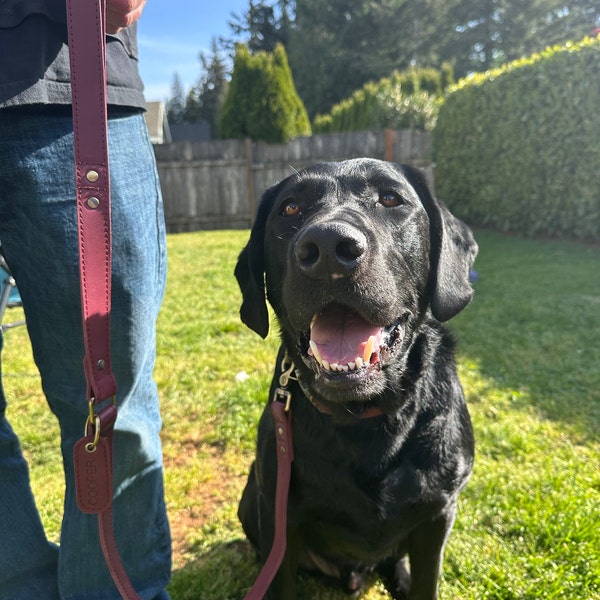 Rustic Hardware Dog Leash Leather Dog Leash Rustic Lobster Clasp Dog ...