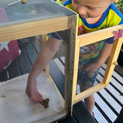 Large Monarch Butterfly Enclosure Habitat - Etsy