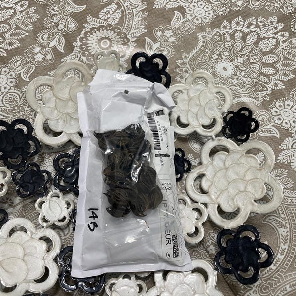 25 Grams of Red Seeds (adenanthera Pavonina) or Approximately 96 Seeds ...