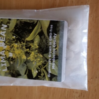 Organic Otto File Polenta Corn - Etsy