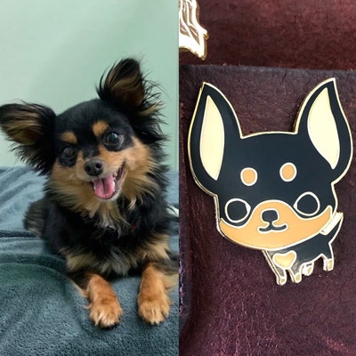 Chihuahua black and Tan Chi Pin - Etsy