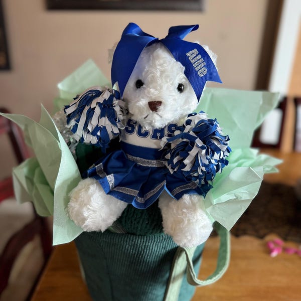 Personalized Cheerleading Plush Bear, Custom All-star Cheer Bears ...
