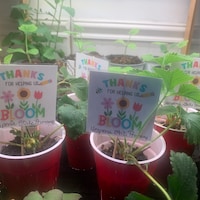 Have a Bright SUMMER GIFT TAGS, Printable School is Out Sunglasses ...