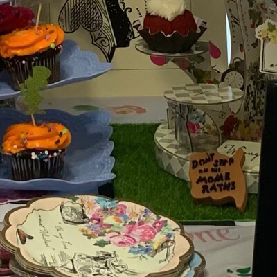 MINI Alice in Wonderland Set of 5 3D Printed Cookies - Etsy