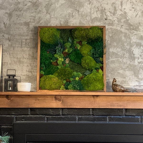 12x16”+ Moss Art Work, Moss Art, Preserved Moss Art. Home Decor. - Etsy