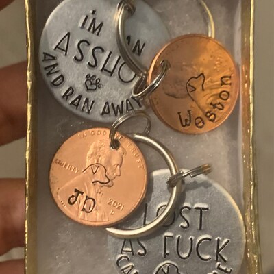 Personalized Penny Pet ID Tag Custom Funny Pet Identification - Etsy