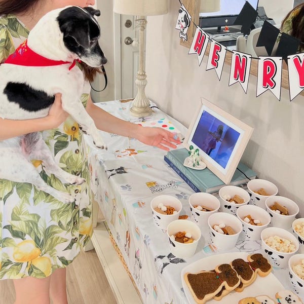 Crab Party Cups, Crab Birthday Party Cups, Crab Party Supplies, Ocean ...