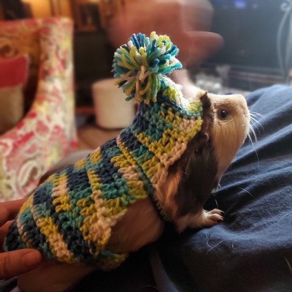 DIGITAL DOWNLOAD PDF Guinea Pig Crochet Pattern Decorative Diaper Style ...