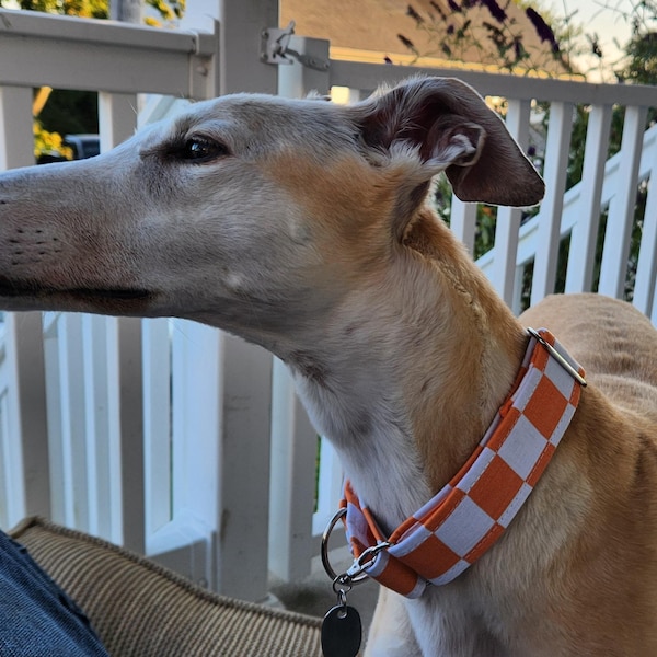 Orange and White Checkered Dog Collar, Martingale or Flat Collar, Dog ...