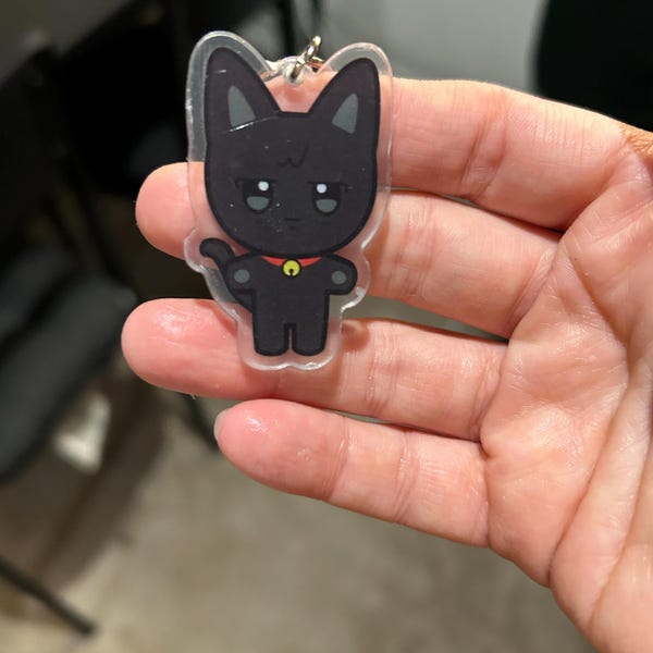 Stray Kids Skzoo Keychain Acrylic, Kpop Fan Gift, Bag Charm, Cute ...