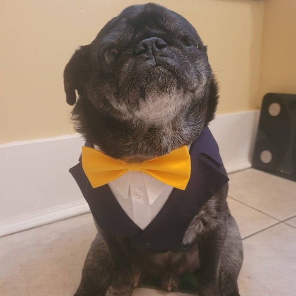 Navy Blue Dog Tuxedo, Dog Wedding Suit Harness, Formal Dog Tuxedo ...