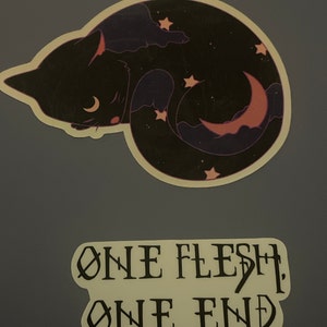 The Song of Achilles Sticker, TSOA Sticker, Eat the World Raw Sticker ...