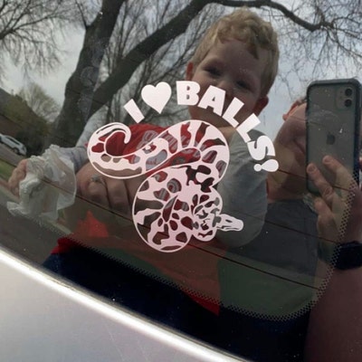 Ball Python Snake Decal/sticker I Love Balls 4X4 - Etsy