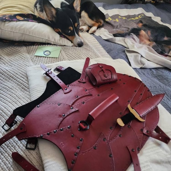 Heimdall Leather Dog Harness Armor - Etsy