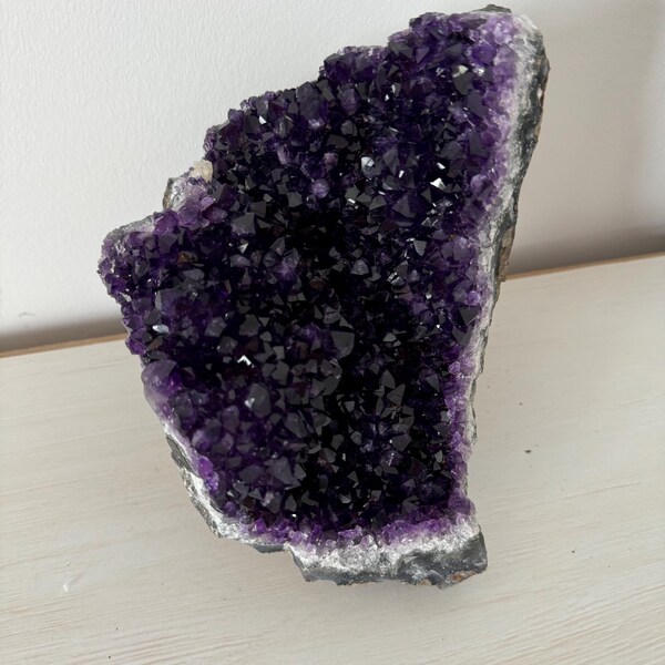 Flash Sale BEAUTIFUL RAINBOW Arizona Petrified Wood Slab Polished both ...