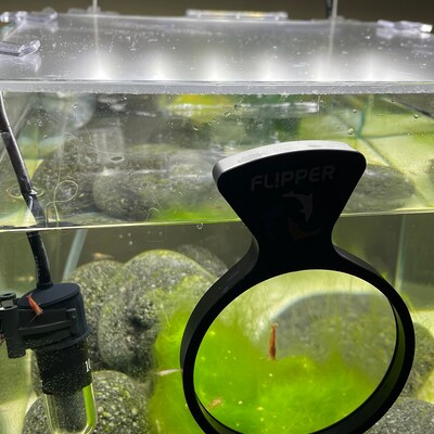 Non Glare Reflection Control Acrylic Glass Framing Grade Acrylic, Any ...