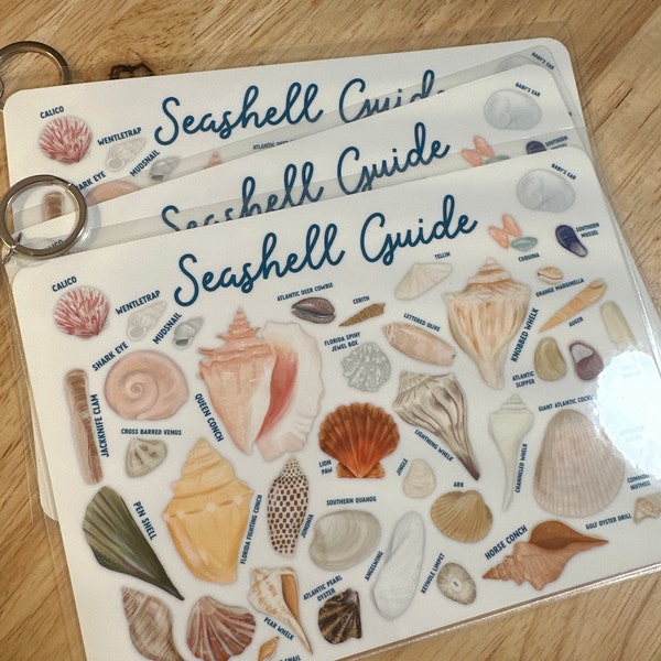 Seashell Guide, Shell Reference Guide, Beach Guide, Waterproof Shell ...