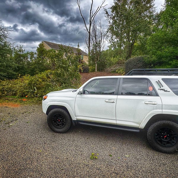 Widdle Wadder (original) - Etsy