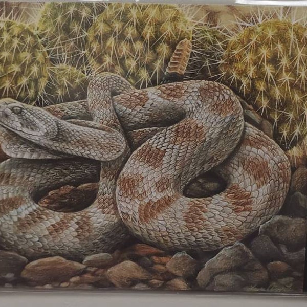 Prairie Rattlesnake - Fine Art Print - by Laura Airey Le - Colorado ...