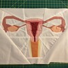 Anatomical Uterus Paper Piecing Pattern - Etsy