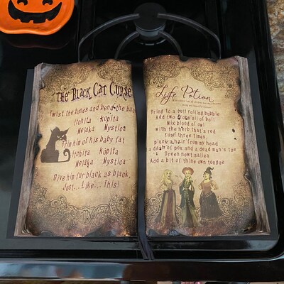 Black Cat Curse and Life Potion Spell Book, Hocus Pocus Inspired - Etsy
