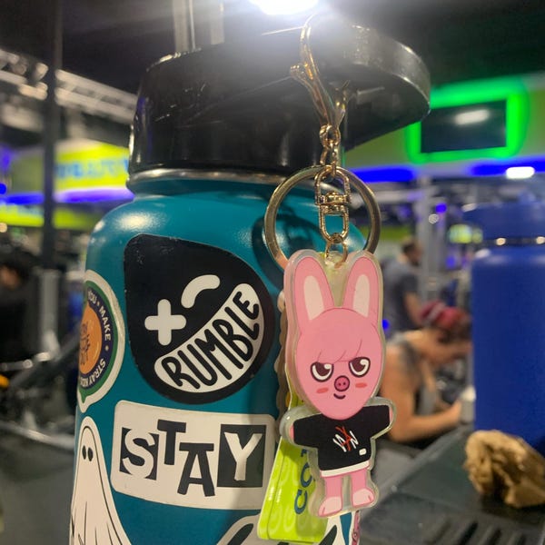 Stray Kids Skzoo Keychain Acrylic, Kpop Fan Gift, Bag Charm, Cute ...