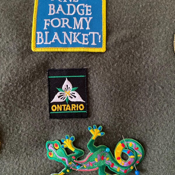Iron on Patches - Gecko Salamander Animal - Green - 9.4x6 Application ...