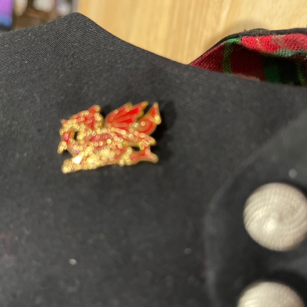 Chester Coat of Arms Crest Heraldic Lapel Pin Badge Brooch - Etsy
