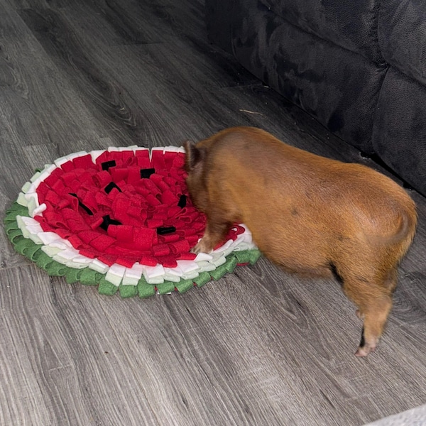Pink Flower Snuffle Mat for Rabbits, Guinea Pigs, Dogs and Other Pets ...