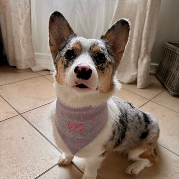 Personalized Dog Bandana Birthday Girl Bandanna for 1st Birthday ...