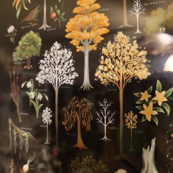 A Tolkien Inspired Herbal - Botanical Print Inspired by the Plants of ...