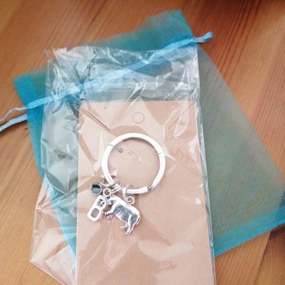 Gothic Dragon Hair Grips, Silver Dragon Bobby Pins, Set of Two Dragon ...