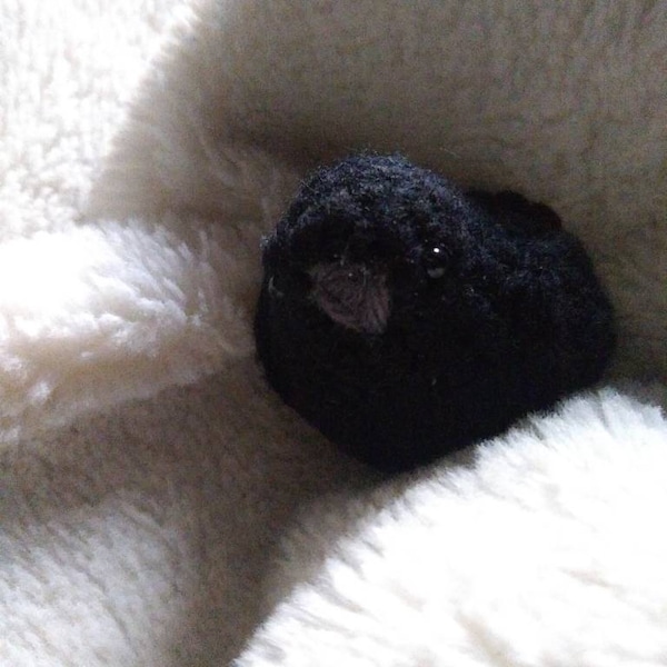 Raven Crow Blackbird Bird Plush Toy Stuffed Animal Amigurumi - Etsy
