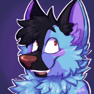 Furry Reference Sheet Base - Etsy