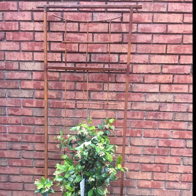 Large Plant Trellis Rusty Steel Garden Trellis 72x27'' Japanese Art ...