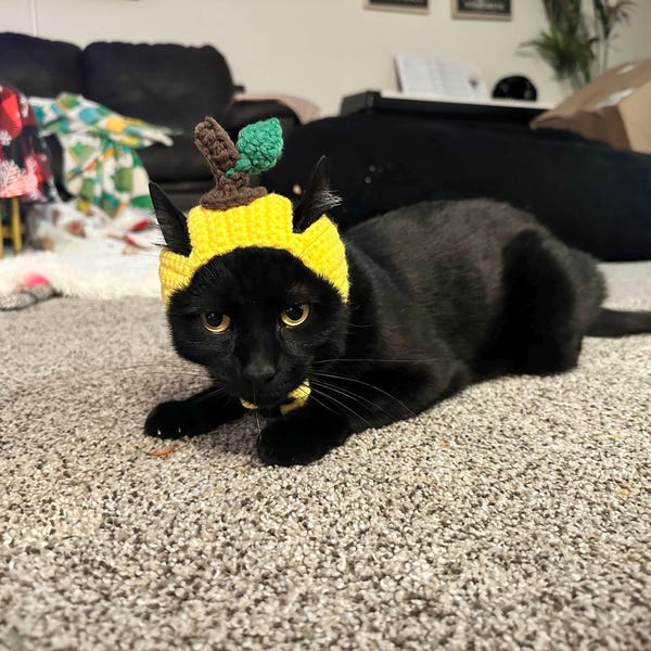 Red Apple Cat Hat Crochet Cat Hat Cat Accessories Cat Costumes Cat ...