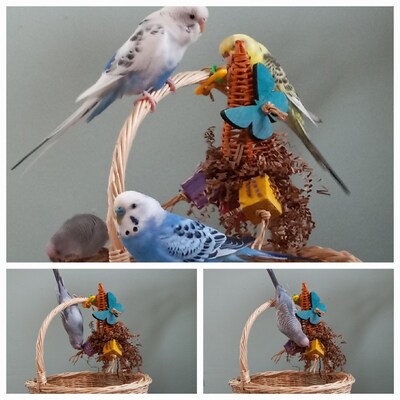 Botanical Bliss Seagrass Foraging Tray Rose Blossom Foraging Tray for ...