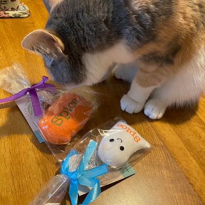 Name Tag CAT Toy Custom Cat Toy Catnip Toy Personalized Cat - Etsy